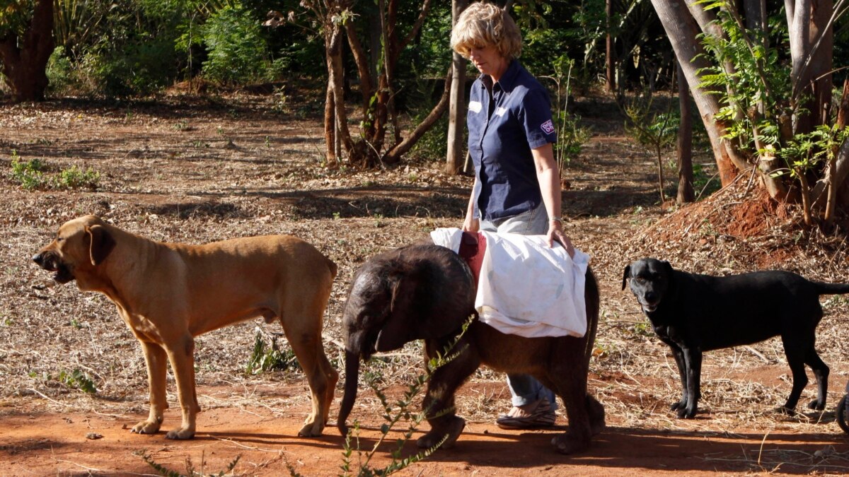 Malawi Introduces Visas for European, Asian Visitors