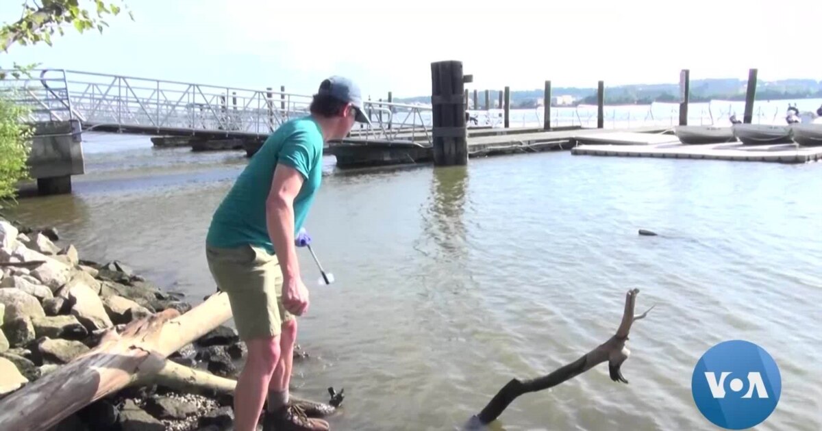 Floating Laboratory Monitors Potomac River Water Quality