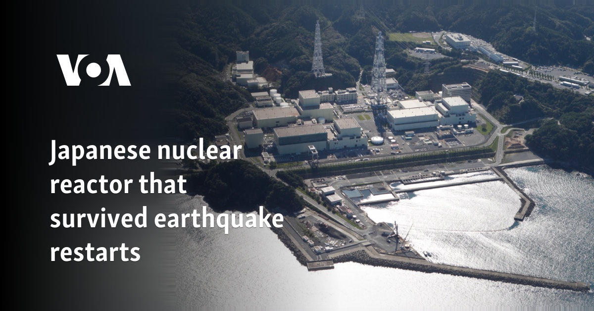 Japanese nuclear reactor that survived earthquake restarts