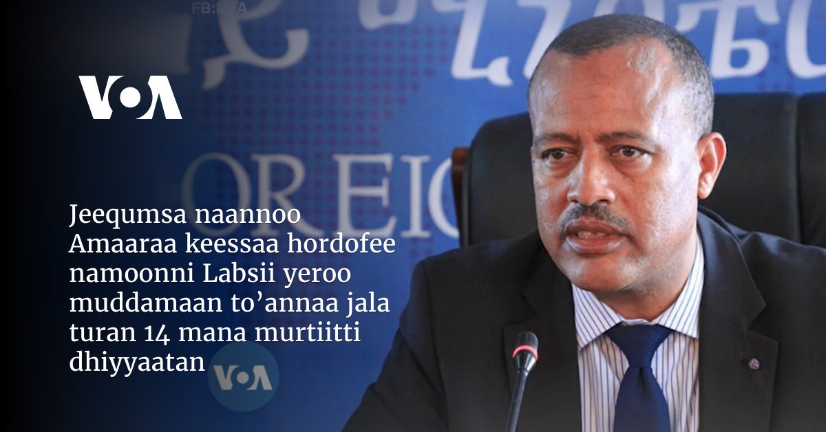 Jeequmsa naannoo Amaaraa keessaa hordofee namoonni Labsii yeroo ...