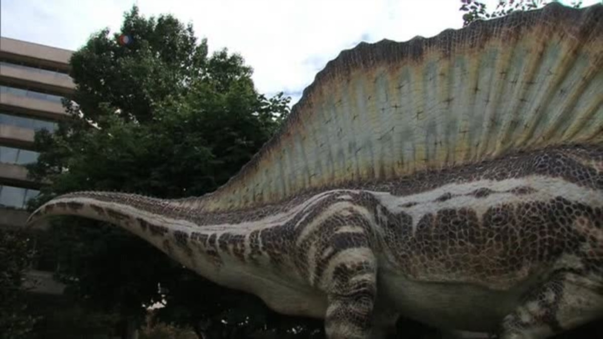 Descubren el espinosaurio