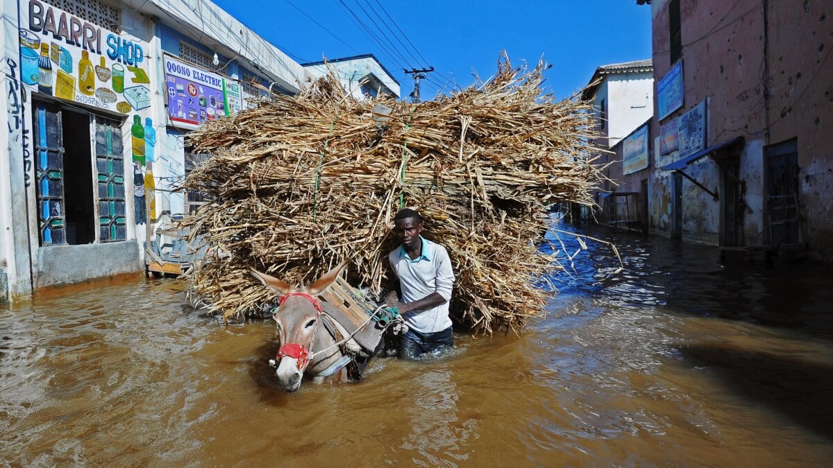 Beledweyne: Daadad Barakac Dhaliyey