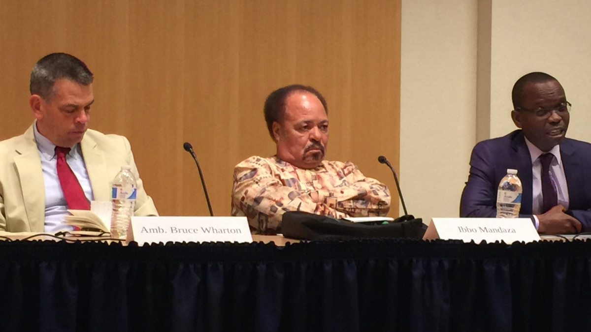 Zimbabweans Visiting U.S Say Future Looks Bright for Southern African ...