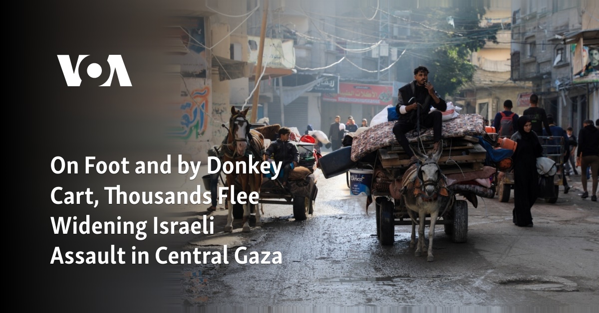 On Foot and by Donkey Cart, Thousands Flee Widening Israeli Assault in ...