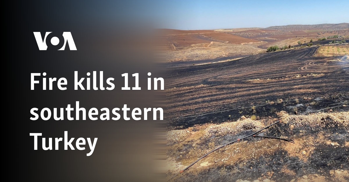 Fire kills 11 in southeastern Turkey