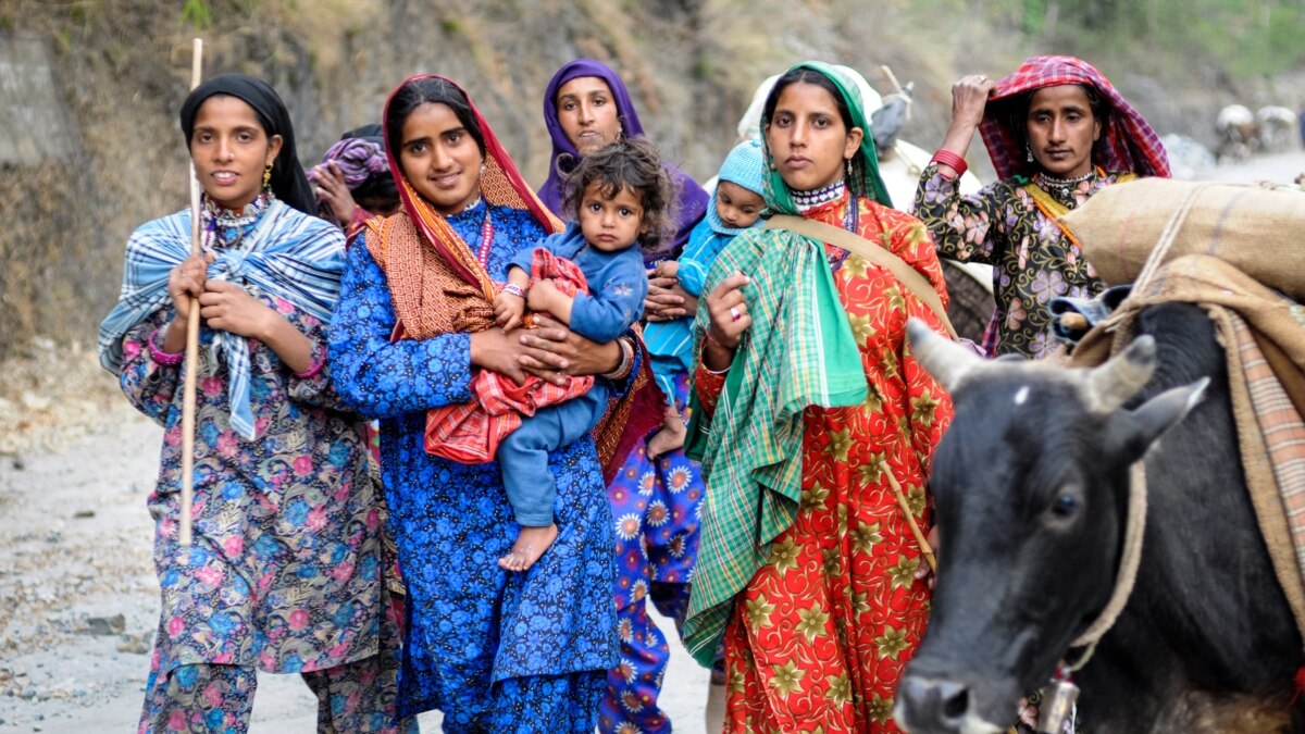 A Threatened Way Of Life The Van Gujjars Of Northern India