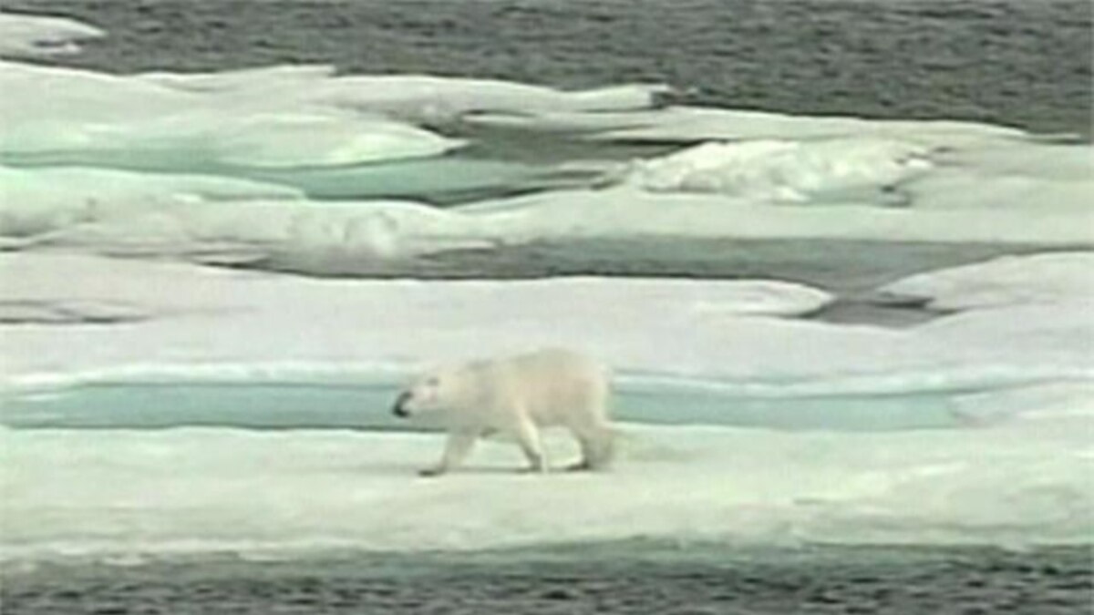 Winter's Arctic Sea Ice is Smallest On Record