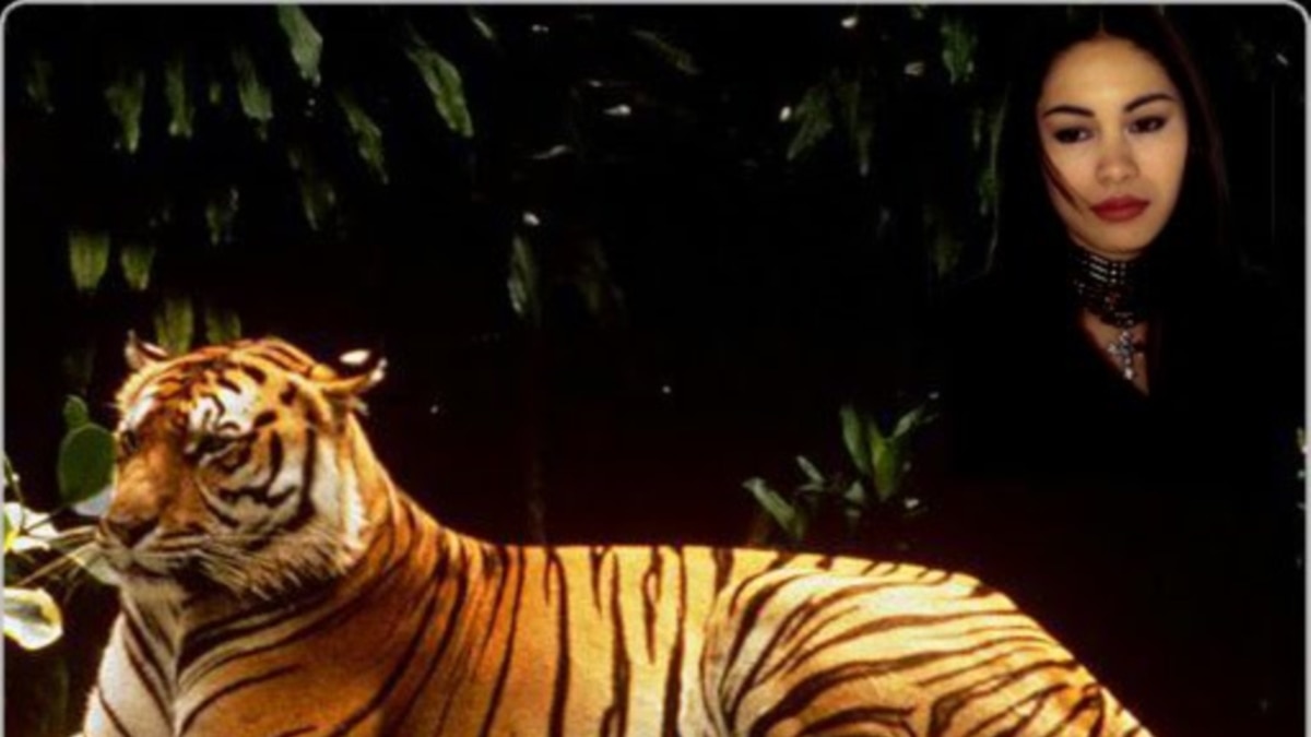 Quiz - The Lady, or the Tiger?