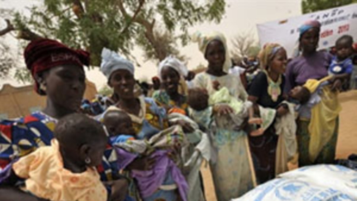 International Aid Group Calls for Urgent Action in Niger Food Crisis