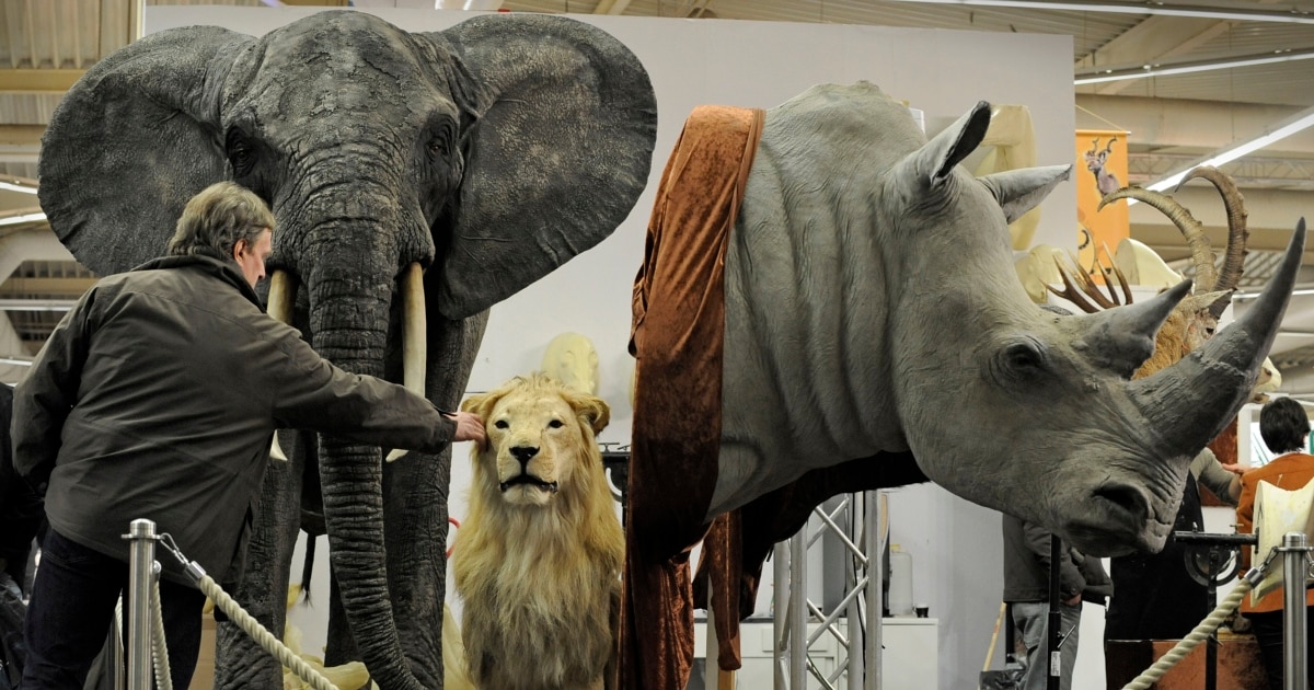 Trump Wildlife Protection Board Stuffed with Trophy Hunters