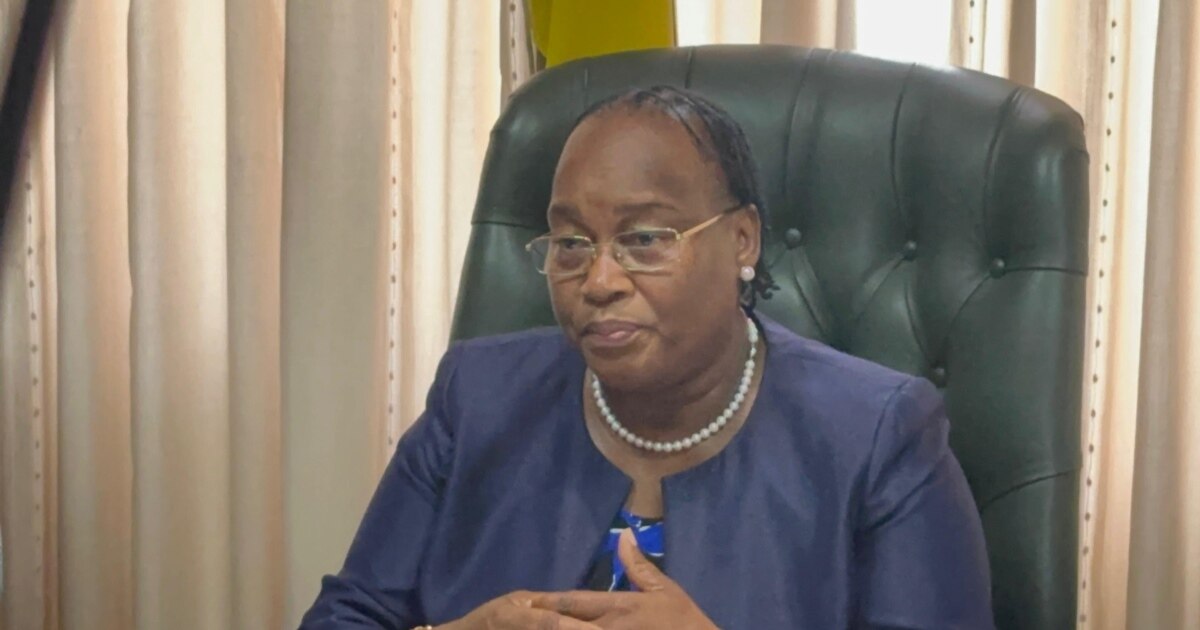 Moçambique: Credibilidade do Conselho Constitucional em causa após ...