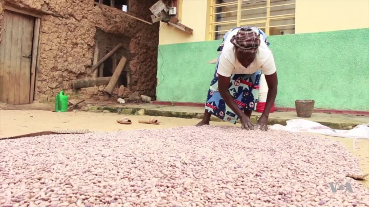 Iron-Fortified Beans Winning Customers in Rwanda, Uganda
