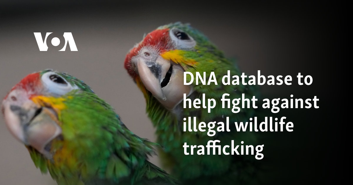 DNA database to help fight against illegal wildlife trafficking