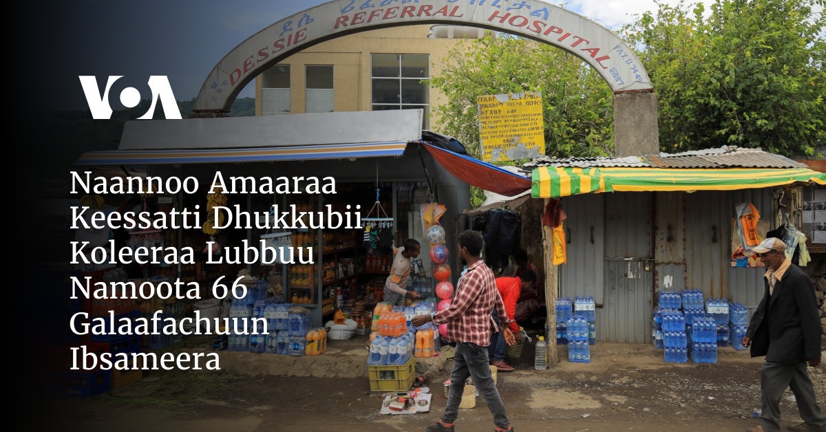 Naannoo Amaaraa Keessatti Dhukkubii Koleeraa Lubbuu Namoota 66 ...