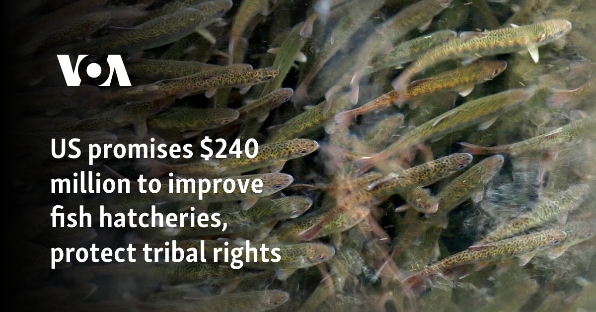 US promises $240 million to improve fish hatcheries, protect tribal rights