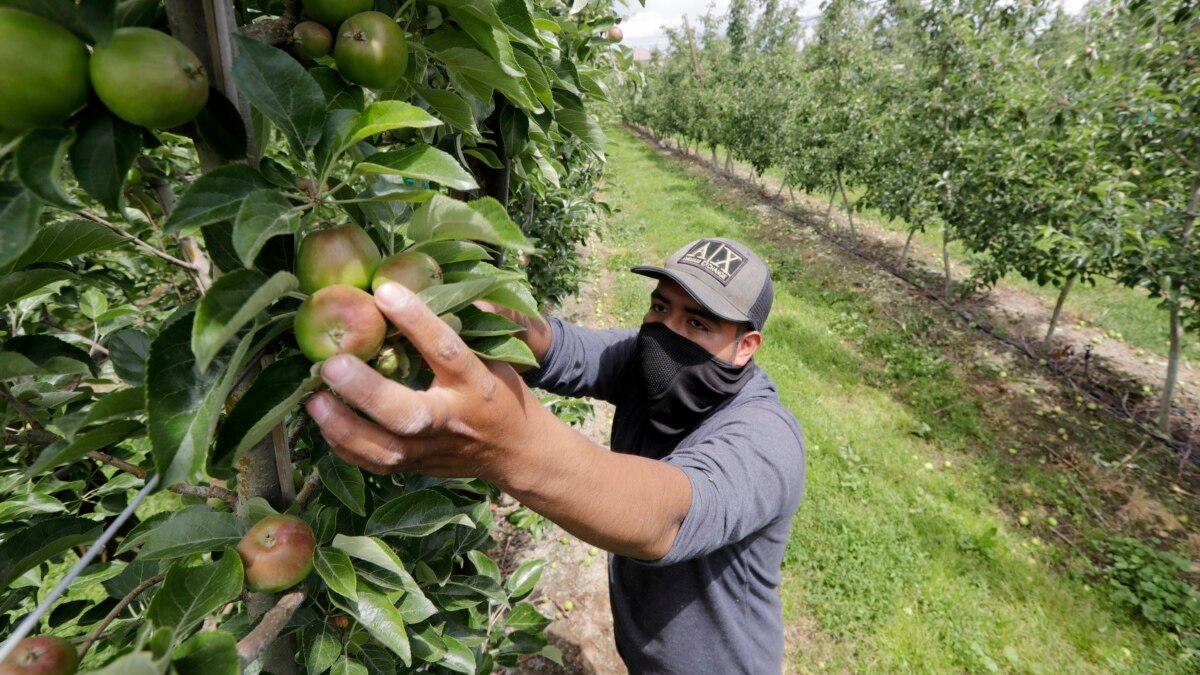 Venezuela: Balance situación agropecuaria
