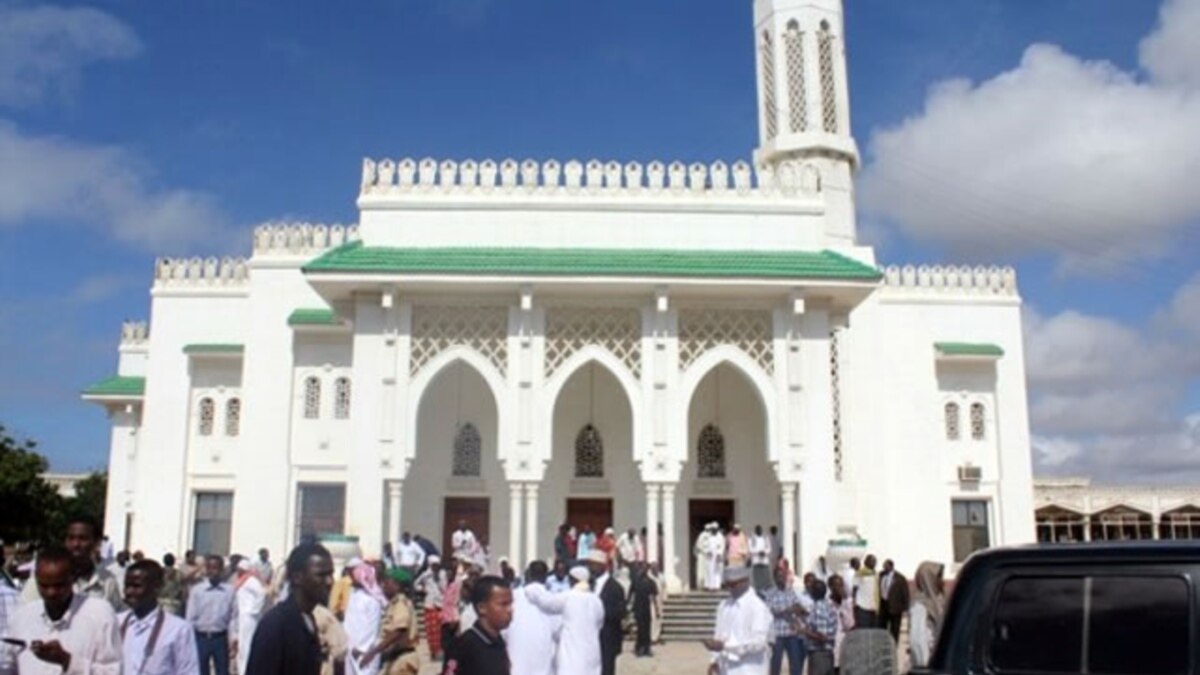 Taariikhda Fanaan-hore Faarax Siidow