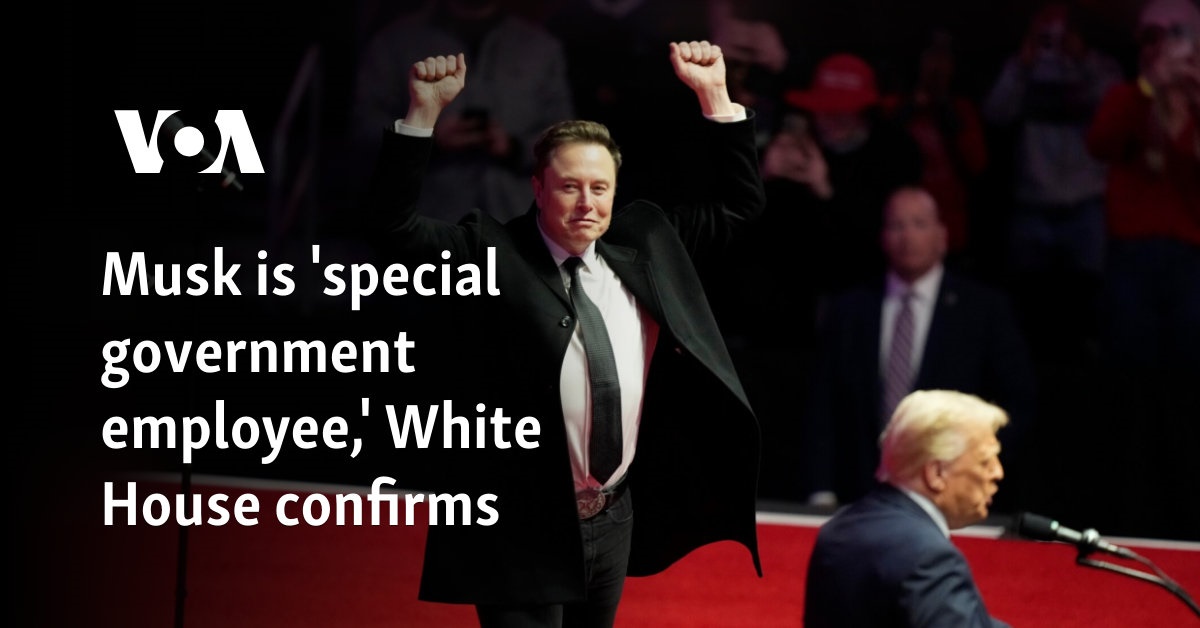 Musk is 'special government employee,' White House confirms
