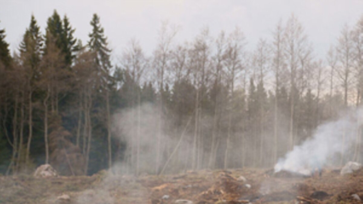 Research Suggests Prehistoric Man First Influenced Climate Change