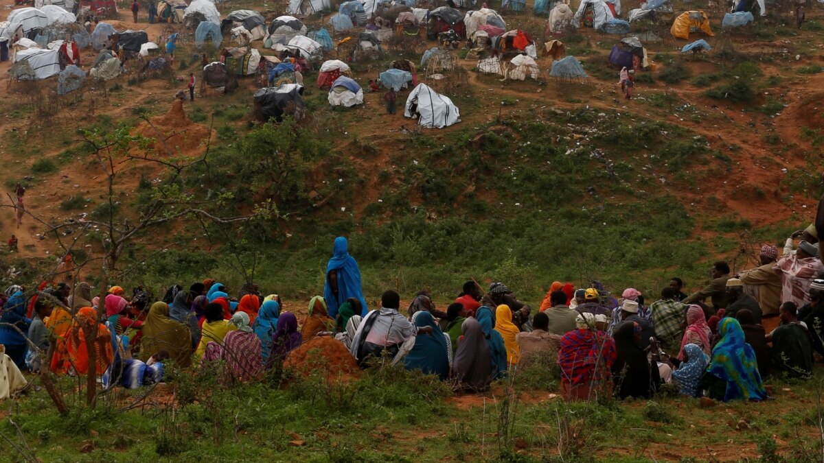 'Ammaa Rakkoon Nageenya Mooyyalee Hin Furamin jira' – Jiraattota