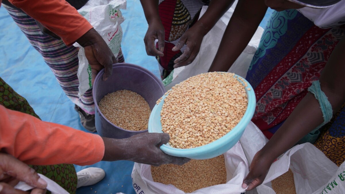 More Than Half of Zimbabwean Population Will Need Food Aid, Cabinet Says