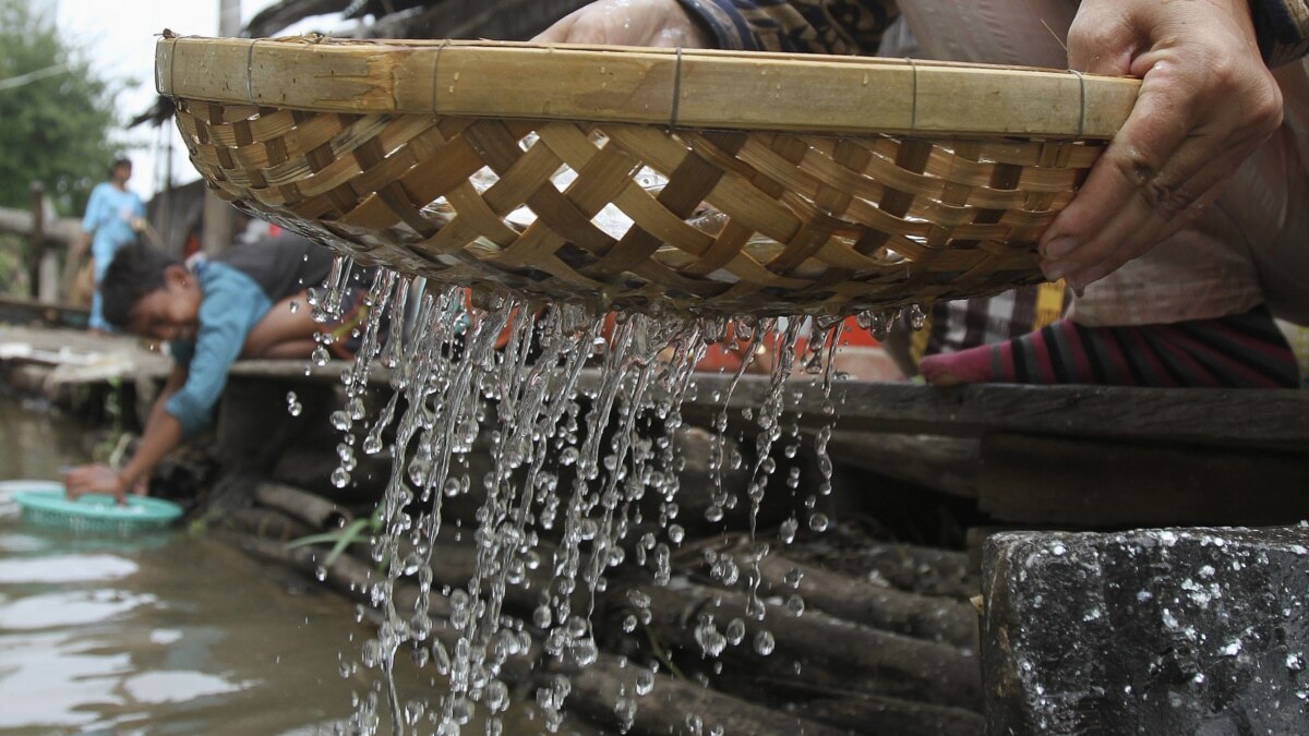Report Warns Of Declining Biodiversity In SE Asia report-warns-of-declining-biodiversity-in-se-asia