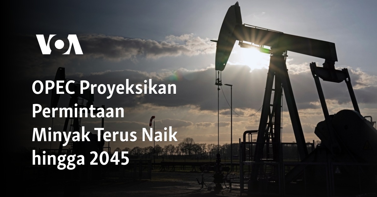 OPEC Proyeksikan Permintaan Minyak Terus Naik hingga 2045