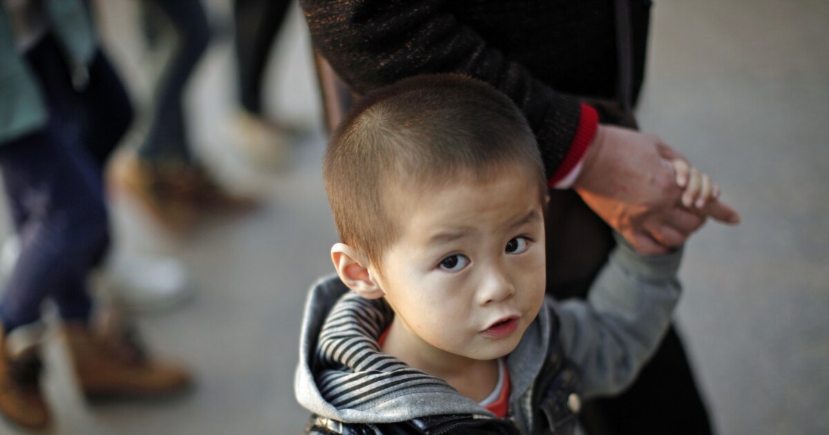 China May Change One-Child Policy, Former Official Says