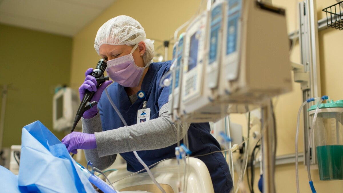 Scientists Take First Steps to Growing Human Organs in Pigs