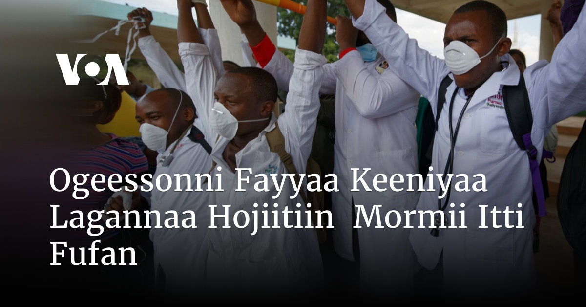 Ogeessonni Fayyaa Keeniyaa Lagannaa Hojiitiin Mormii Itti Fufan