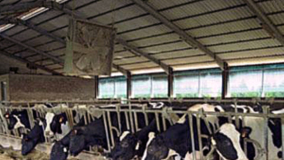 Patogjenet rezistente ndaj antibiotikëve, një nga shqetësimet më të ...