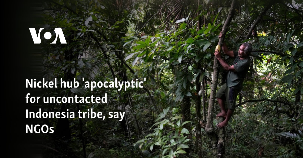 Nickel hub 'apocalyptic' for uncontacted Indonesia tribe, say NGOs