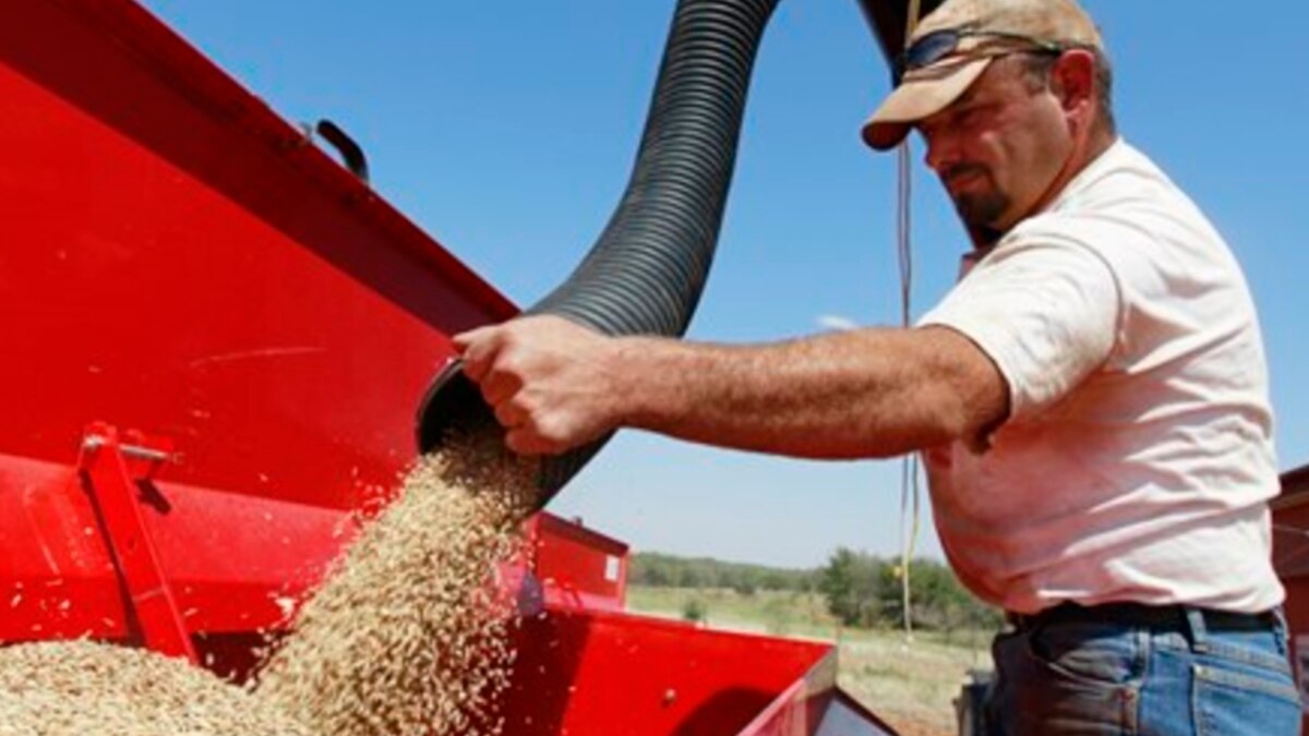 US Officials Predict Drop in Crop Prices