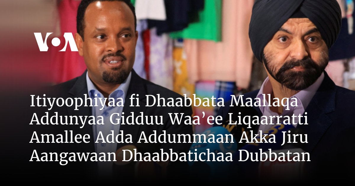 Itiyoophiyaa fi Dhaabbata Maallaqa Addunyaa Gidduu Waa’ee Liqaarratti ...