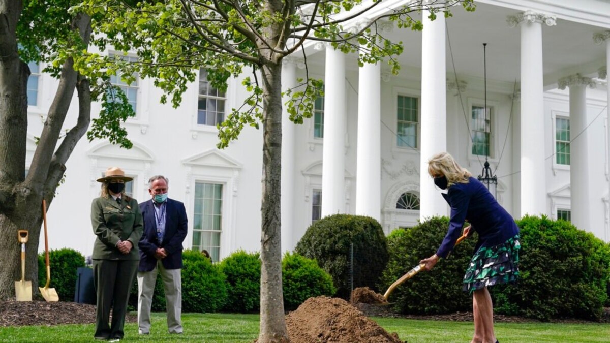 US First Lady Marks Arbor Day With White House Tree Planting