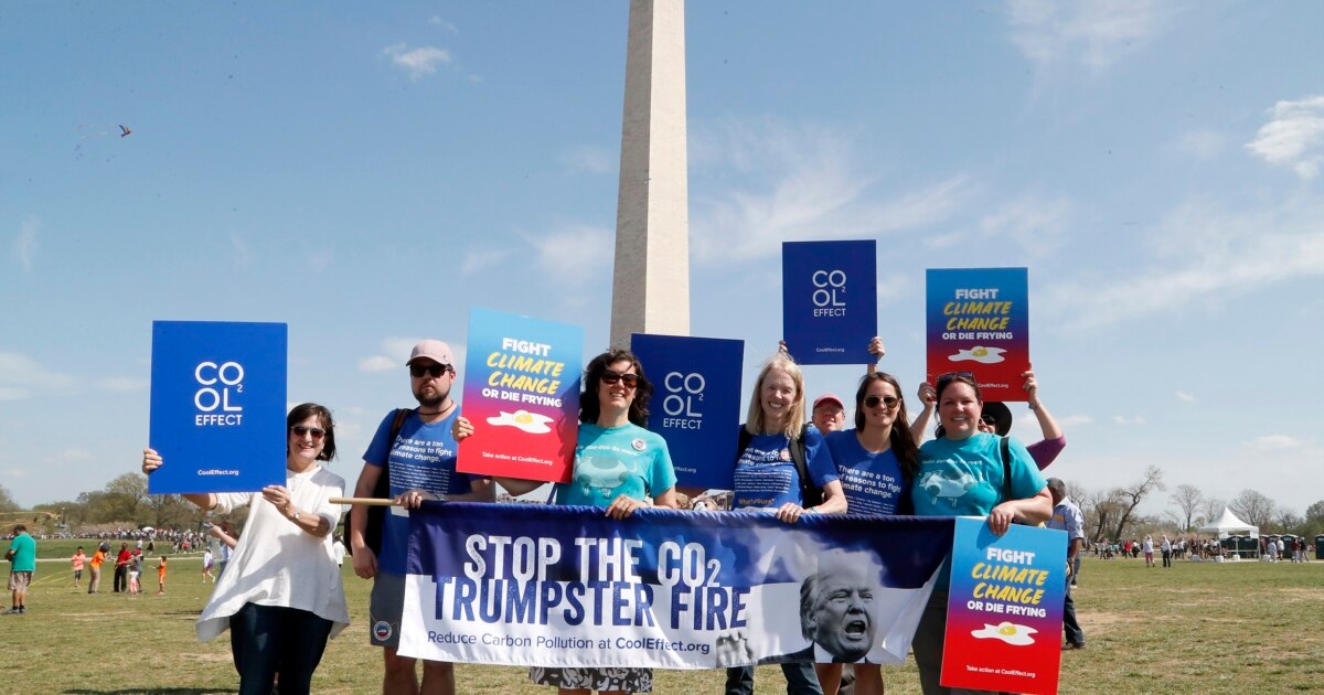 'Make America Smart Again': Hundreds Rally for US Science