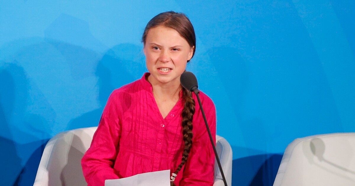 Disability Group President Resigns Over Thunberg Remark