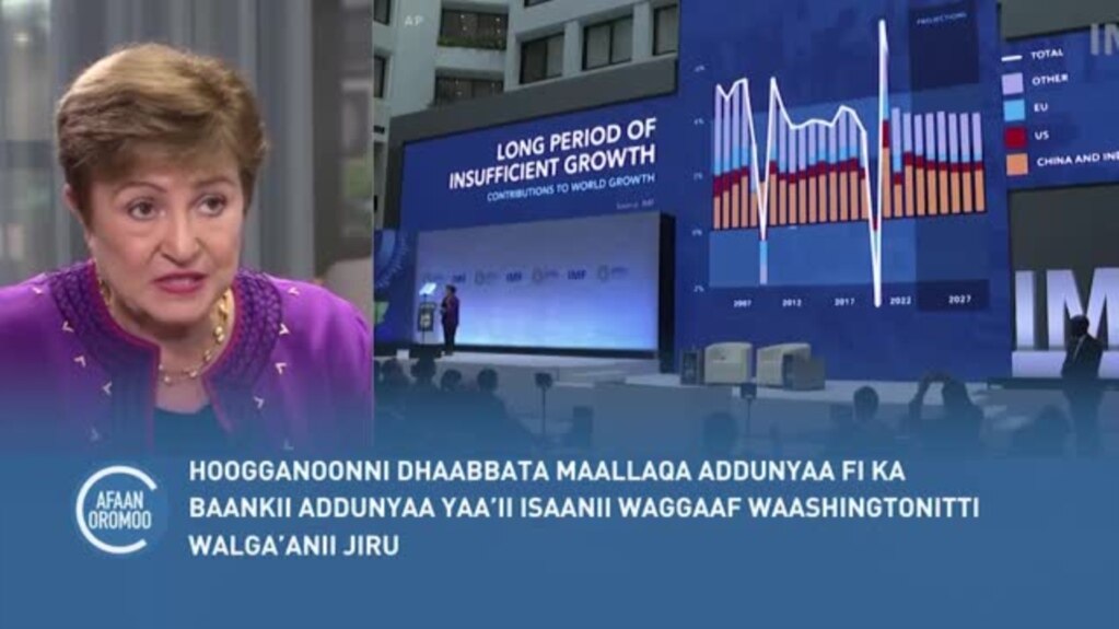 Hooggantoonni Dhaabbata Maallaqa Addunyaa fi Baankii Addunyaa Yaa’ii ...