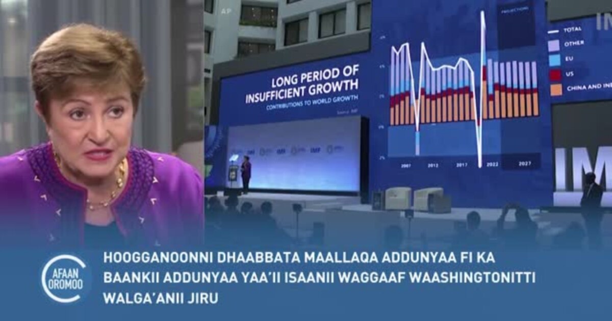 Hooggantoonni Dhaabbata Maallaqa Addunyaa fi Baankii Addunyaa Yaa’ii ...