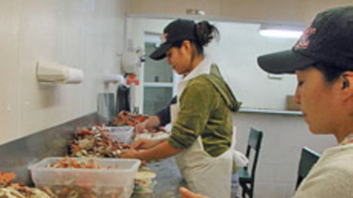 Mexican Guest Workers Take Jobs Few Americans Want