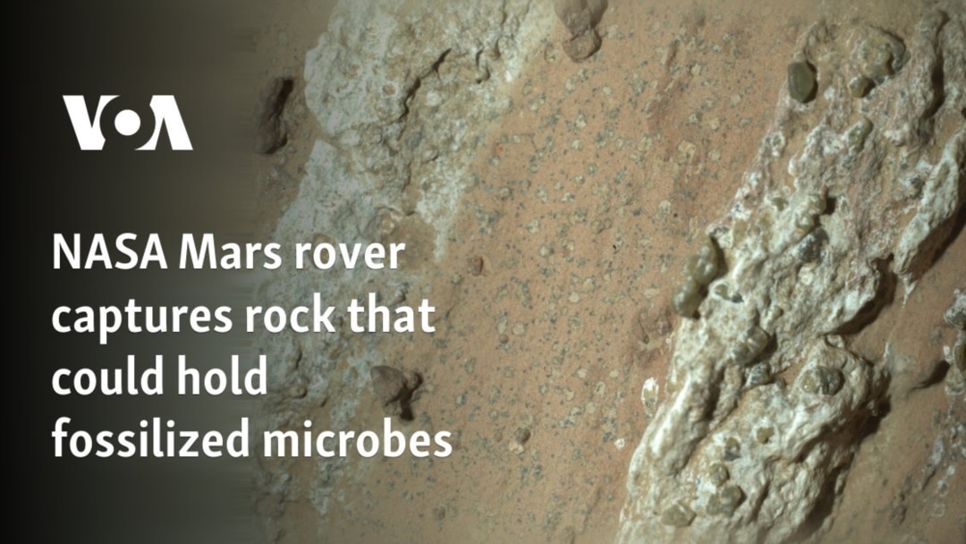 Nasa Found Fossils On Mars