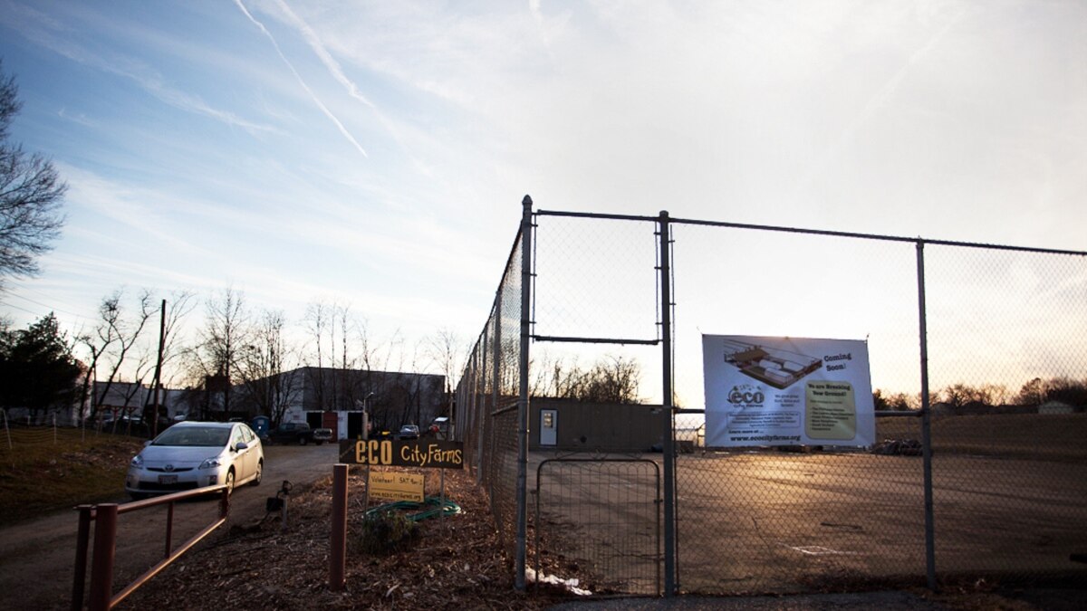 ECO City Farm: Urban Agriculture in DC