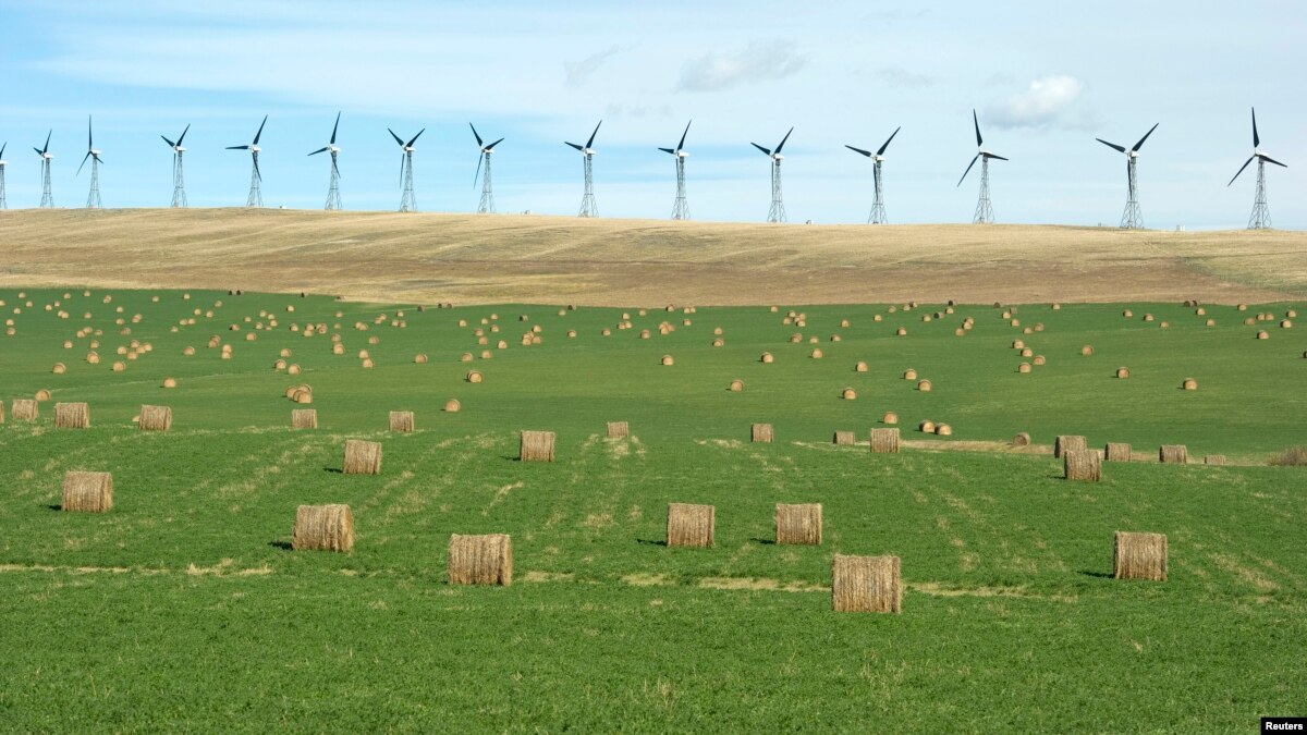 What Does It Mean to Go 'Haywire?'