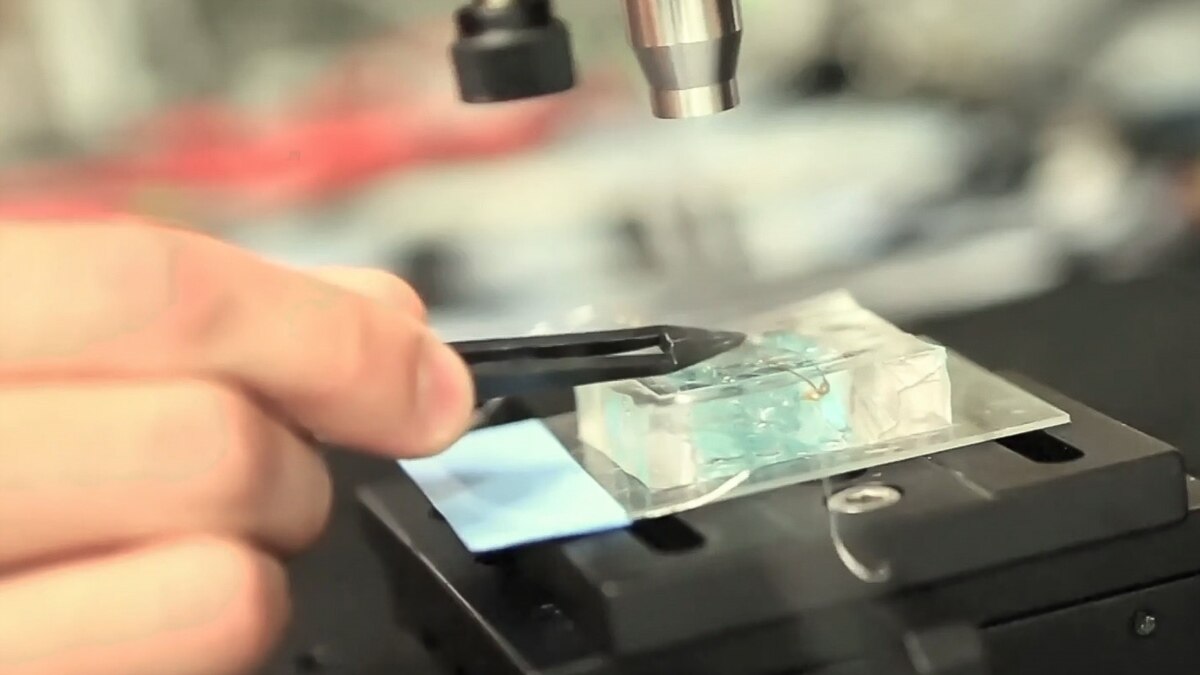 Tiny Devices for Studying the Brain From the Inside