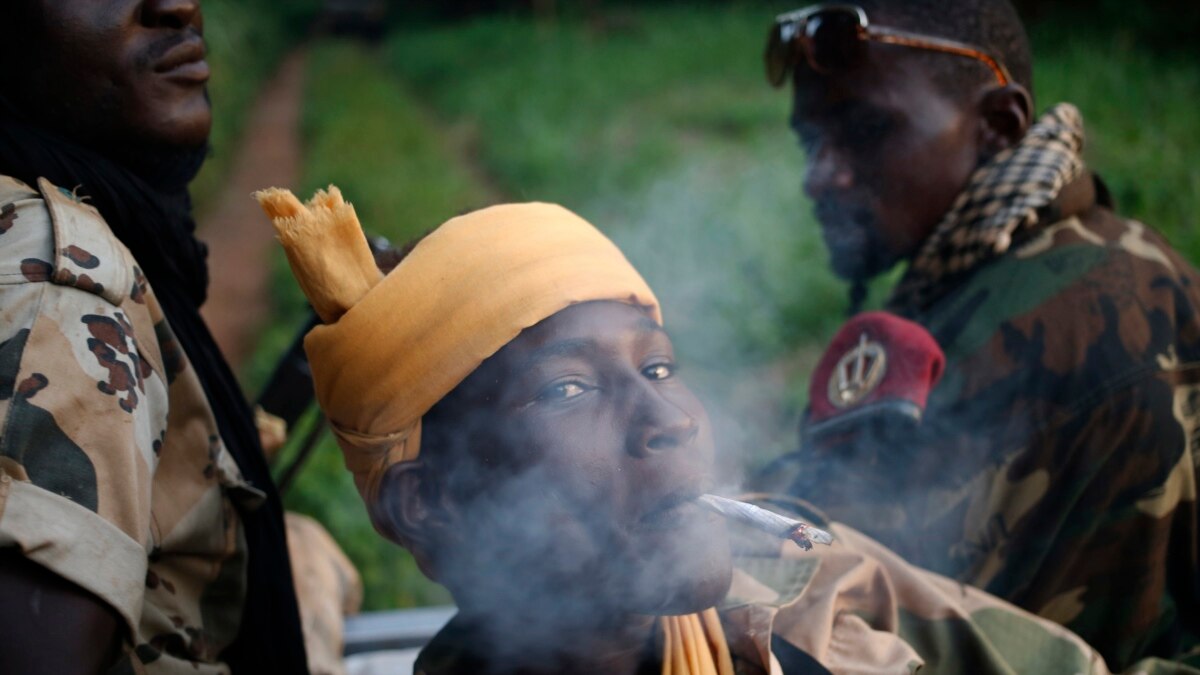 Rights Group Calls for CAR Atrocities Investigation