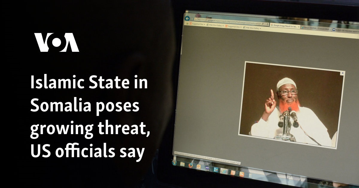 Islamic State in Somalia poses growing threat, US officials say