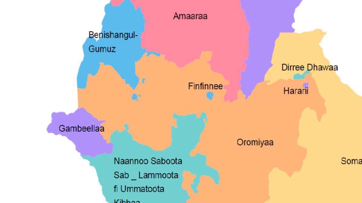 Magaala Asosaa Keessatti Walgahiin Gaggeeffamaa Jira