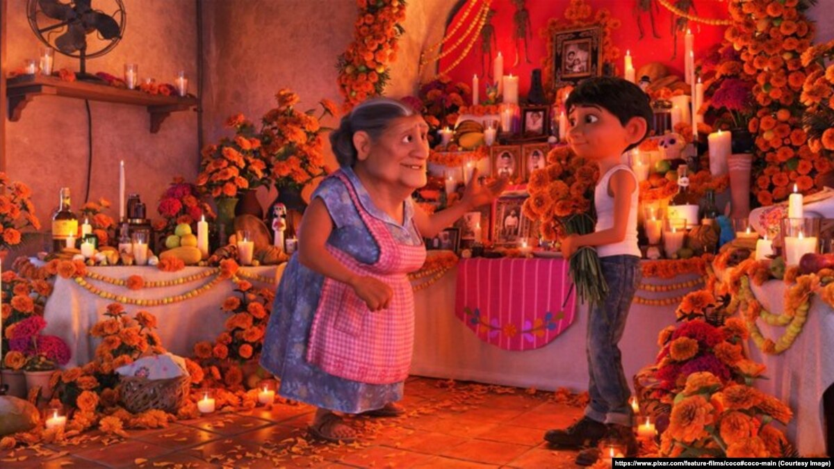 Orange Flowers In Coco | Best Flower Site