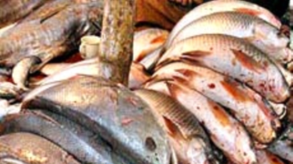 Tanzania: uvuvi wa samaki kujadiliwa