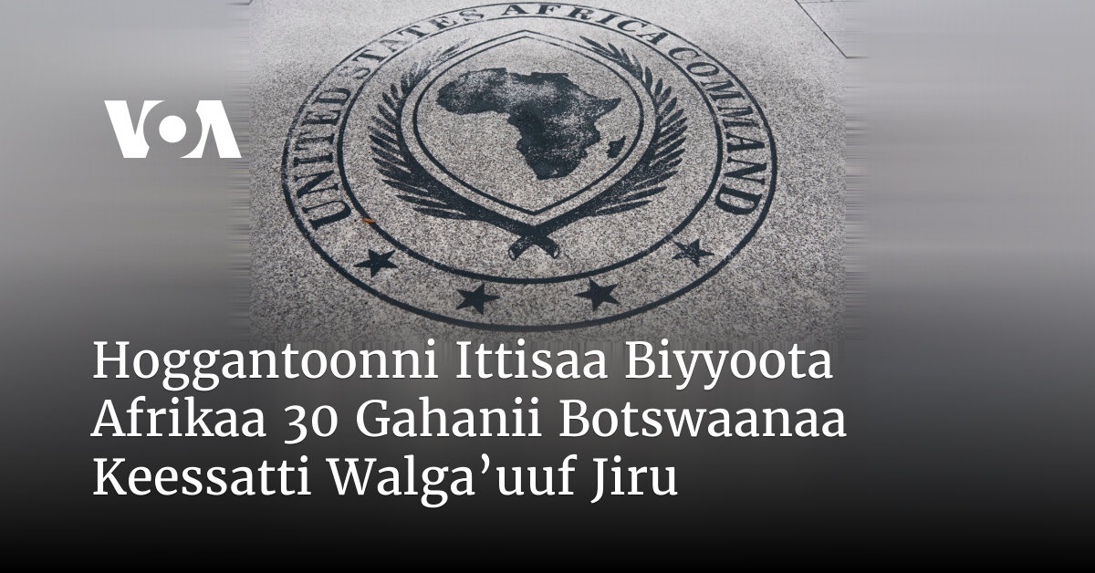 Hoggantoonni Ittisaa Biyyoota Afrikaa 30 Gahanii Botswaanaa Keessatti ...